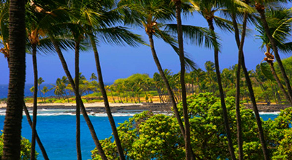 Success Story - WUSATA