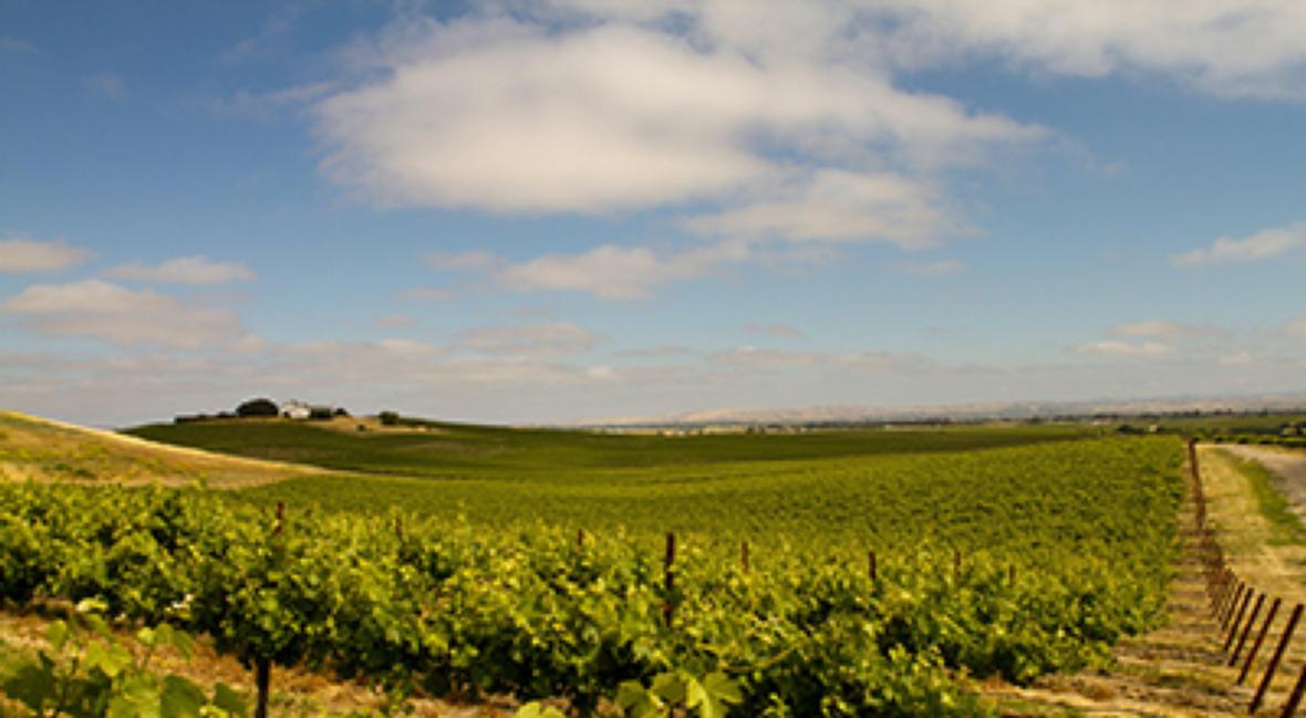 Success Story - WUSATA